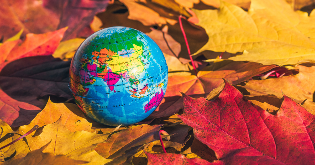 International Education Week 2023 | Thomas J. Meskill Law Library